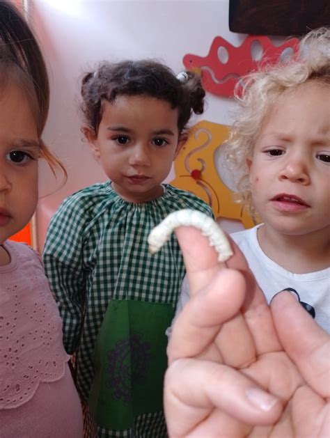 Mon Petit Mon Petit Added A New Photo