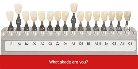 Teeth Color Shades Chart New Tampa Dentist Breaks Down The Leading