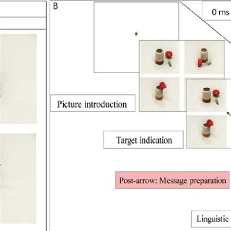 Example Of An Experimental Display Panel A And Timeline Panel B To Download Scientific