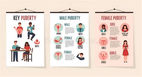 Educational Posters On Male And Female Puberty With Anatomical Illustrations And Lifestyle