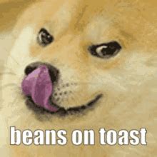 Beans On Toast S Tenor