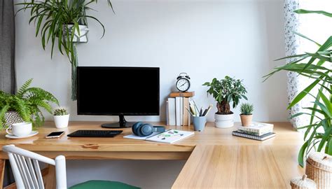 Nature At Your Desk The Hidden Health Boosts Of Office Plants