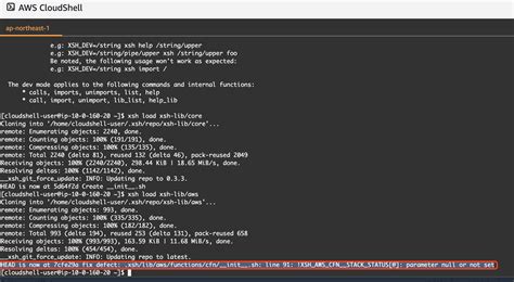 Xsh Load Xsh Libaws And Xshrepoxsh Libaws · Issue 3 · Alexzhangsaws Cfn Vpn · Github
