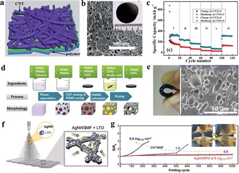 A Schematic Illustration Of The Binder‐free Cnt‐s Anode Film B Sem