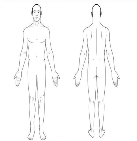 Anatomy Labeling Body Unit 1 Diagram Quizlet