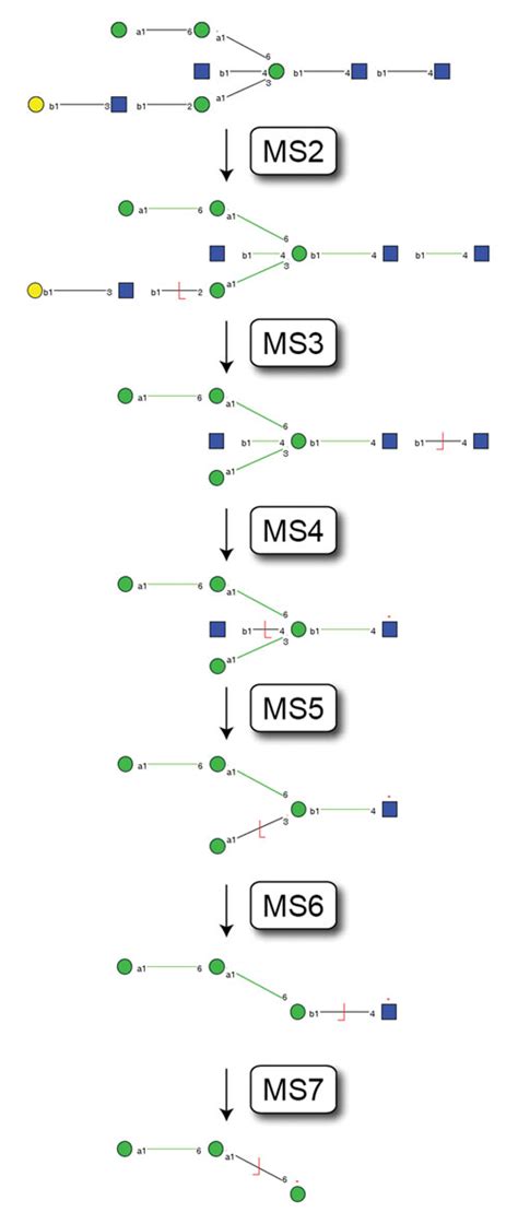 Simplifying Complex Biological Matrices