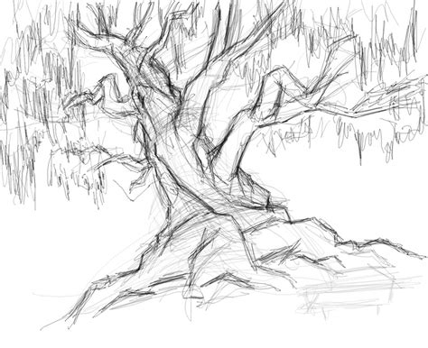 Cool Tree Sketches At Explore Collection Of Cool