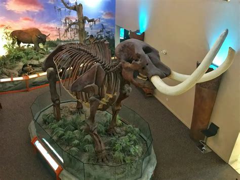 The Bishop Museum Of Science And Nature