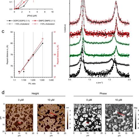 Structure And Biosynthetic Pathway Of Sulfatide The Major