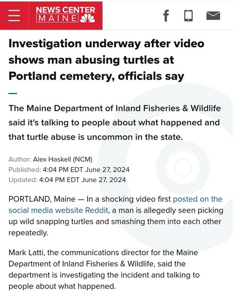Reddit Isnt Useless Rmaine