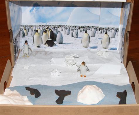 Macie Project Habitats Projects Diorama School Projects