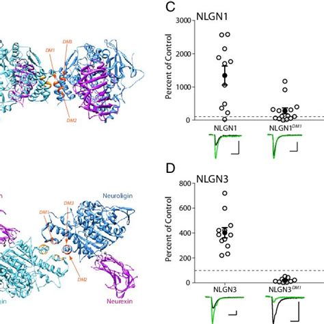 Chemically Induced Dimerization And Monomerization Can Acutely Alter