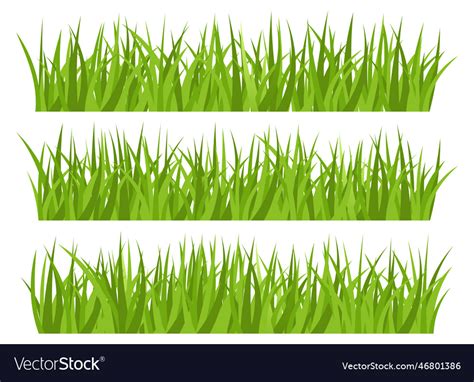 Green Grass Design Isolated On White Background Vector Image