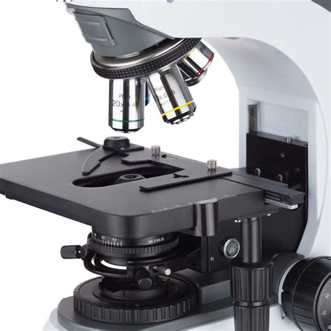 What Is Epi Fluorescence Microscope At Charlene Ortega Blog