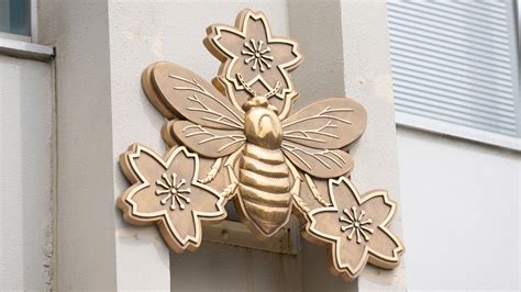 帝京｜私立高校コースガイド｜高校受験