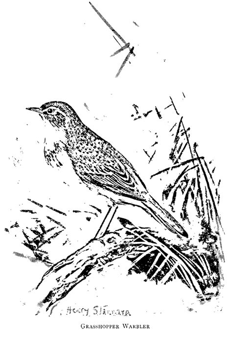 This Is The Community Website For The People Of Fulking