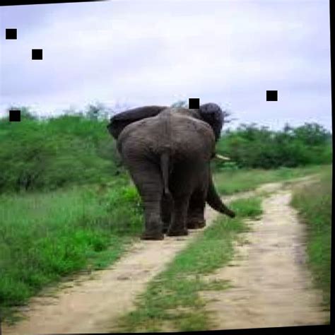 Kavach Roboflow Universe