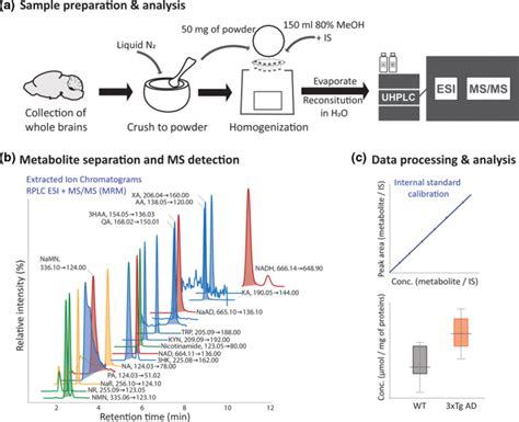 Sex‐specific Alterations In Nad Metabolism In 3xtg Alzheimers Disease