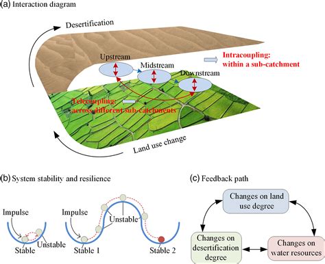 Desertification Diagram