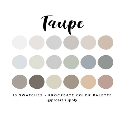 Qué Es El Color Taupé Y Por Qué Es Perfecto Para El Calzado Deditos