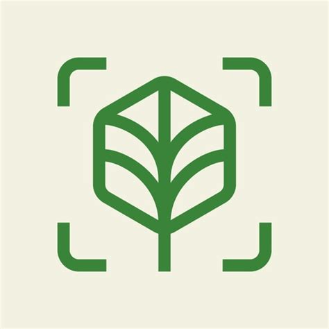 Working Trees By Working Trees Inc