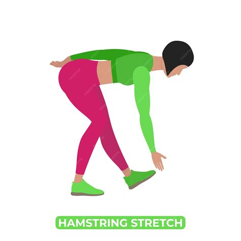 Premium Vector Vector Woman Doing Hamstring Stretch An Educational