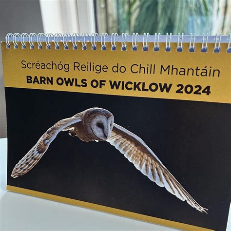 Barn Owls Of Wicklow Calendar Greystones Tidy Towns