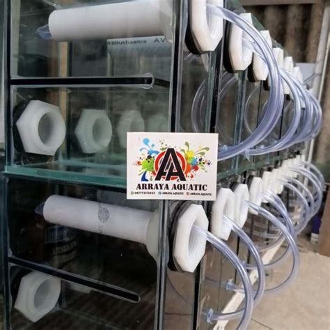 Jual Best Seller Box Overflow Aquarium Di Seller Aghanim Cengkareng Timur Kota Jakarta Barat