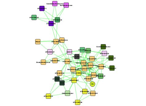 Microbial Association Network Construction