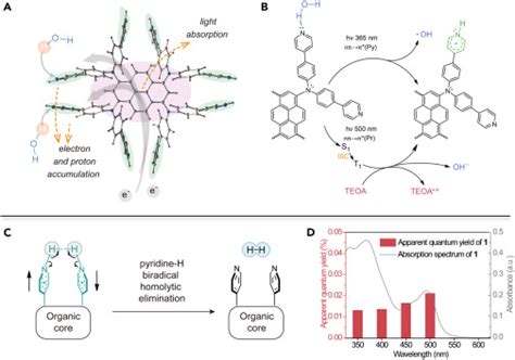 Clarifying The Electron Transfer Pathway Of Organic Photocatalyst For Hydrogen Evolution Matter