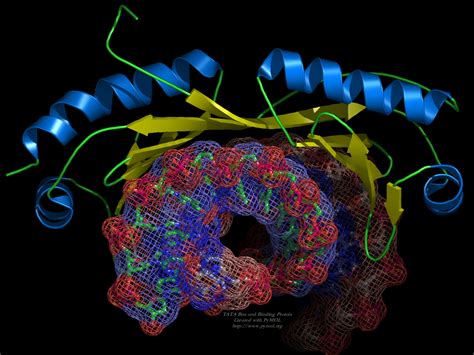 Pymol Image Gallery