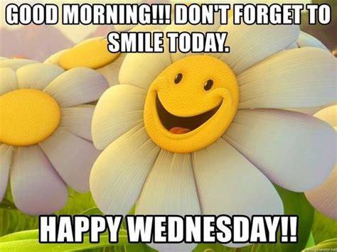 27 Hilarious Minion Memes That Will Make Your Day Tiny Positive