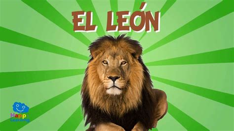 Acerca De Las Imágenes De Los Leones
