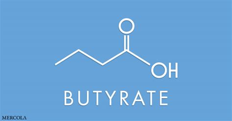 Understanding Butyrate The Key To Optimal Health And Well Being