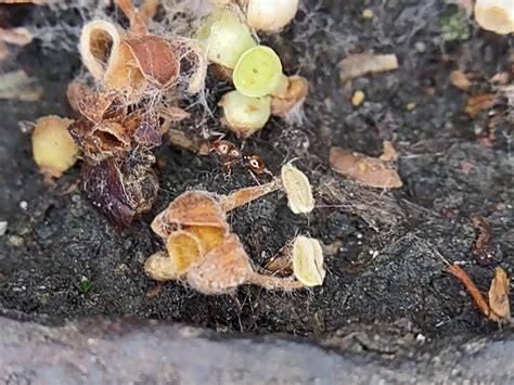 Mayriella Overbecki From Sydney Nsw 2000 Australia On December 27 2023 At 1039 Am By Tyler B