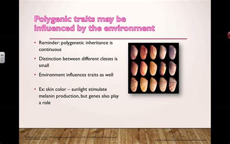 Environmental Traits