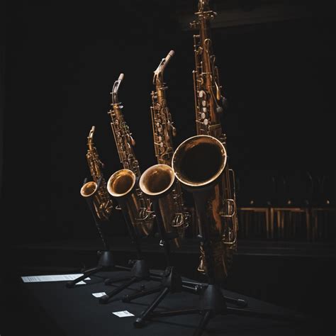 Juvenum Hortus Profesor Dariusz Samól Przedstawia Willa Lentza