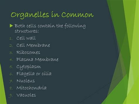 Ppt Prokaryotic And Eukaryotic Classification Ppt Prokaryotic And Eukaryotic Classification