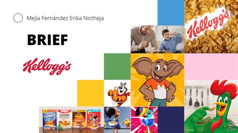 Brief Kelloggs 1 Images Behance