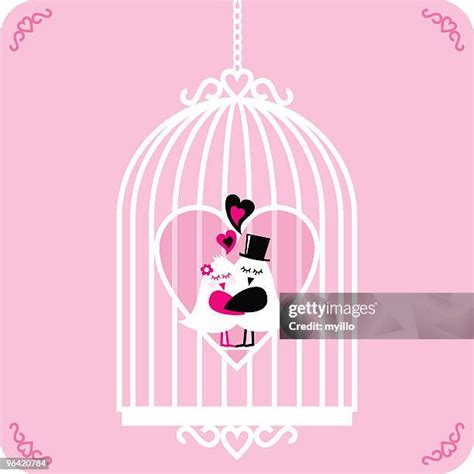 Pink Cage Photos And Premium High Res Pictures Getty Images