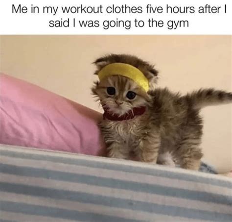 The Best Crass Memes Memedroid