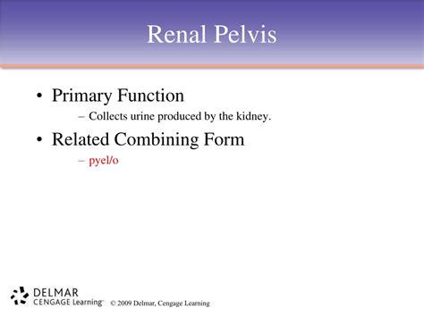 Ppt Chapter 9 Powerpoint Presentation Free Download Id959276