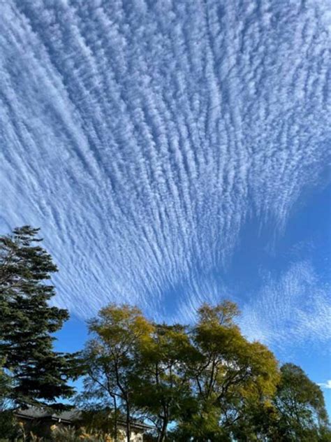 Cirrocumulus Cloud Appreciation Society