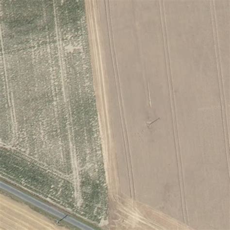 Treesegmentationproject Instance Segmentation Model By Myworkspace