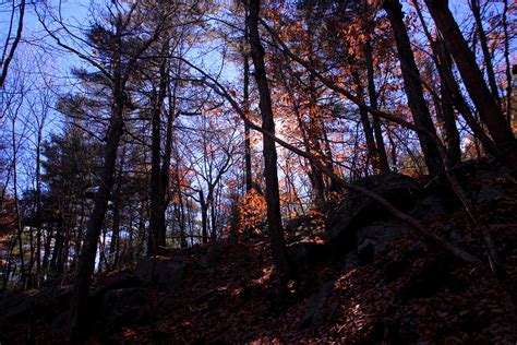 Fall 2015 Blue Hills Reservation Novmeber 8 2015 Flickr