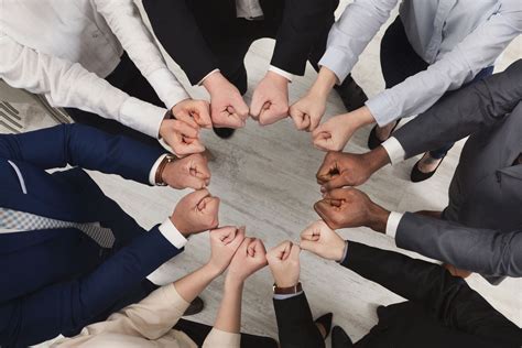 Us Echowolf Solutions