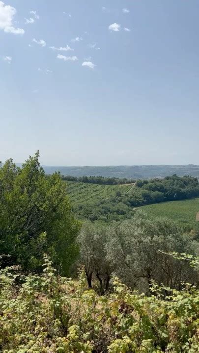 Danielle Poli Posted On Linkedin