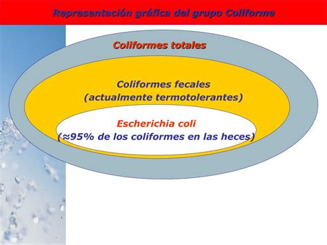 Ppt Calidad Del Agua Powerpoint Presentation Free Download Id 3735612