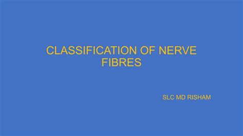 Nerve Classificationpptx