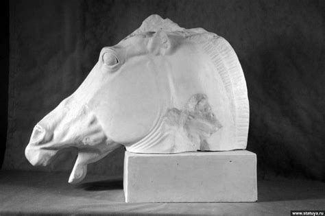 Гипсовая голова Лошадь | Лошади, Копы, Иллюстрации